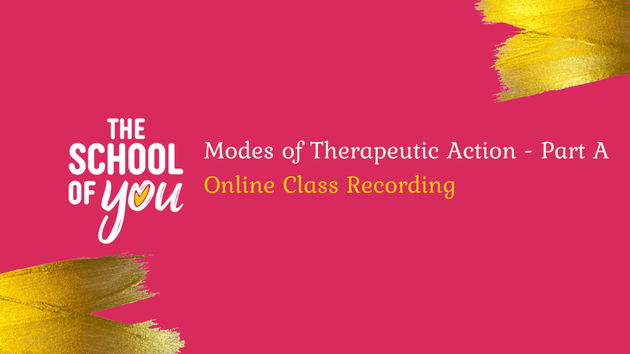 Modes of Therapeutic Action – Part A – The School of You